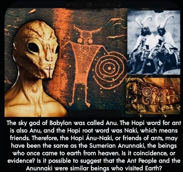 The sky god of Babylon was called Anu. The Hopi word for ant is also ...