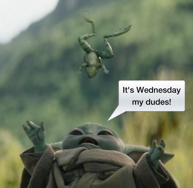 Grogu is a Wednesday dude - It's Wednesday my dudes! - iFunny