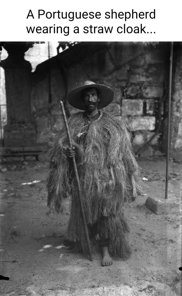 A Portuguese shepherd wearing a straw cloak... AS - iFunny