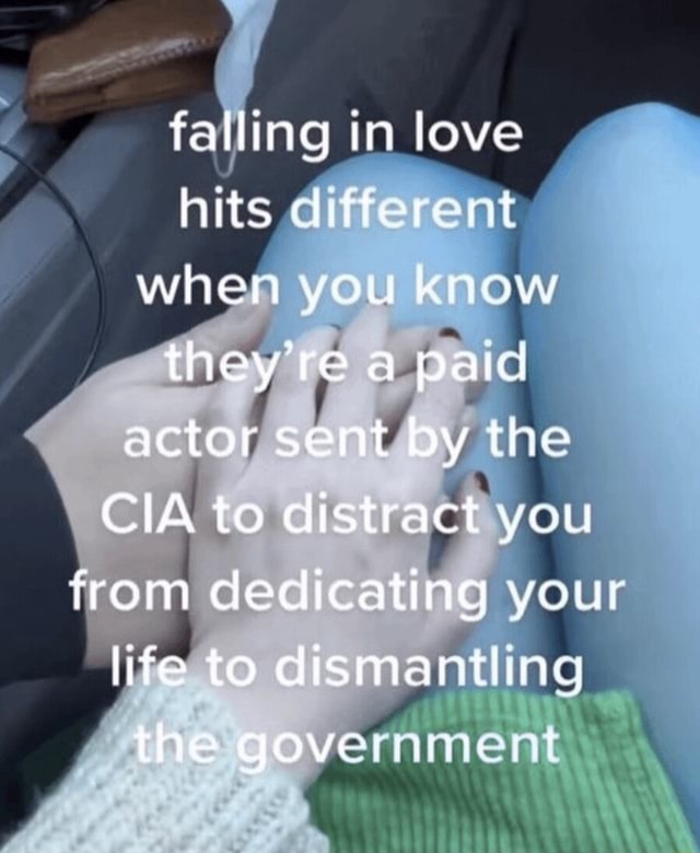 Falling in love hits different when you know they're a paid actor sent ...