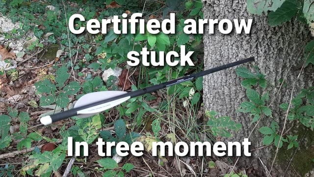 Certified arrow _ stuck In tree moment_ - iFunny