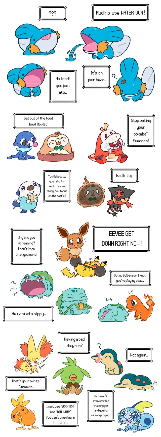 You just ate. Yes Oshawott, your shell is reallynice and shiny. Now ...