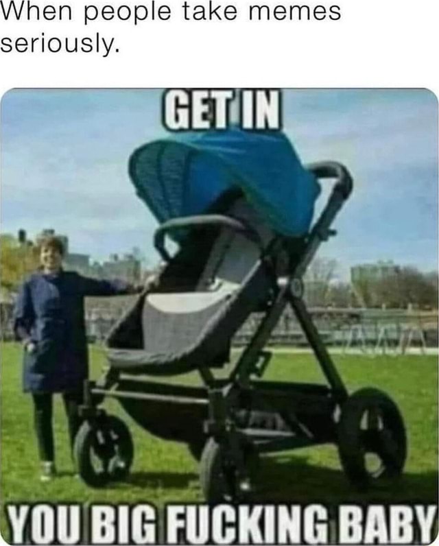 When people take memes seriously. YOU BIG FUCKING BABY - iFunny