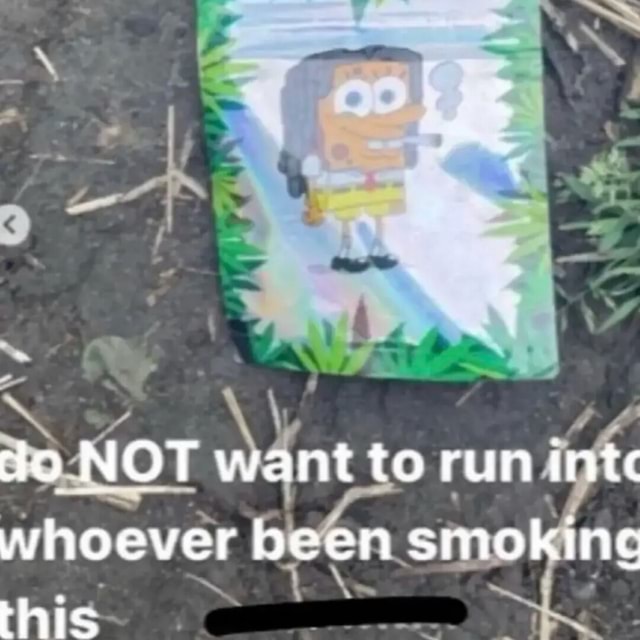 Do NOT want to run inte whoever been smokine this - iFunny