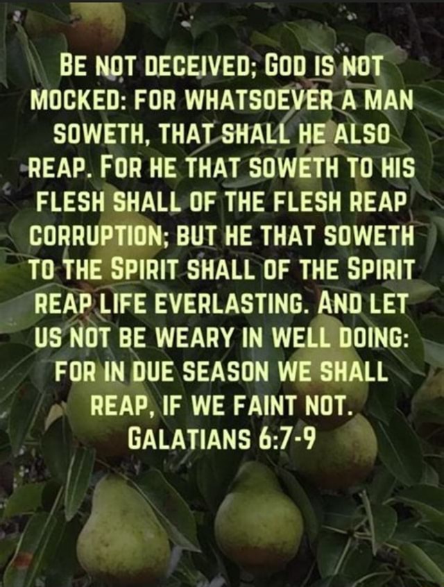 BE NOT DECEIVED; GOD IS, NOT MOCKED: FOR WHATSOEVER- A MAN SOWETH, THAT ...