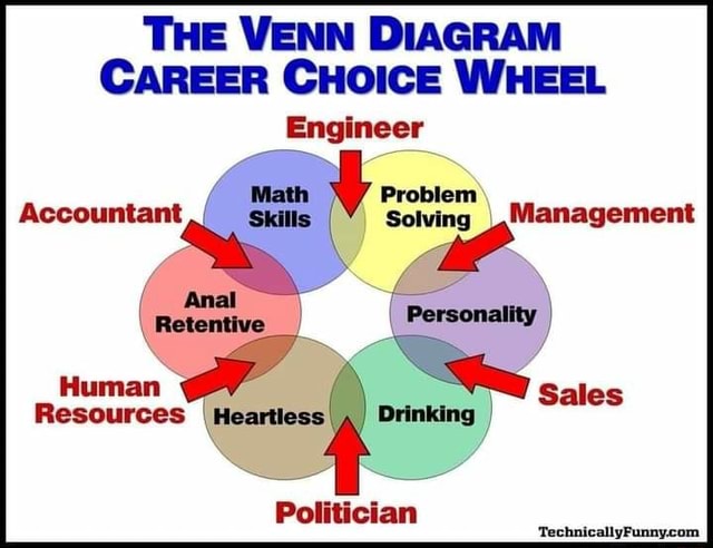 THE VENN DIAGRAM CAREER CHOICE WHEEL _ _Engineer Problem Accountant ...