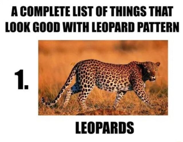 A COMPLETE LIST OF THINGS THAT LOOK GOOD WITH LEOPARD PATTERN LEOPARDS ...