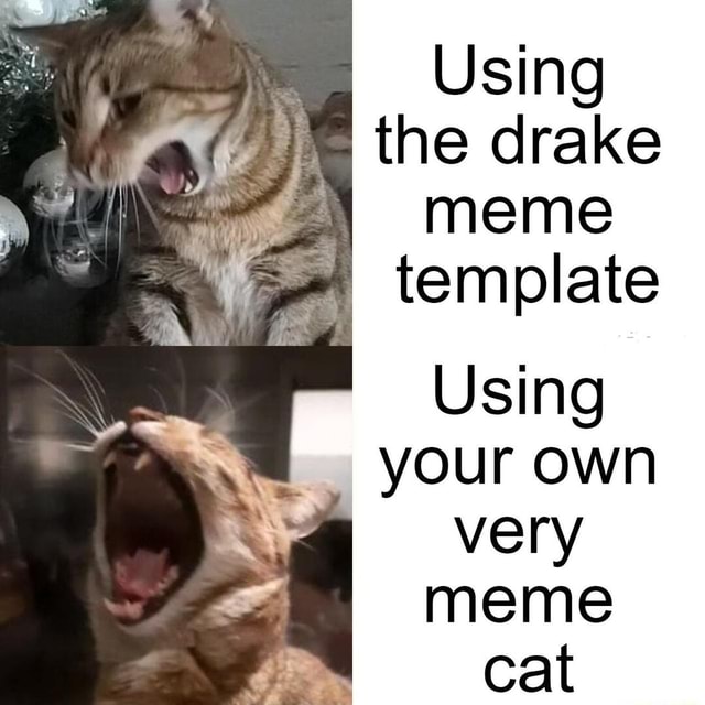 Using the drake meme template Using your own very meme cat - iFunny