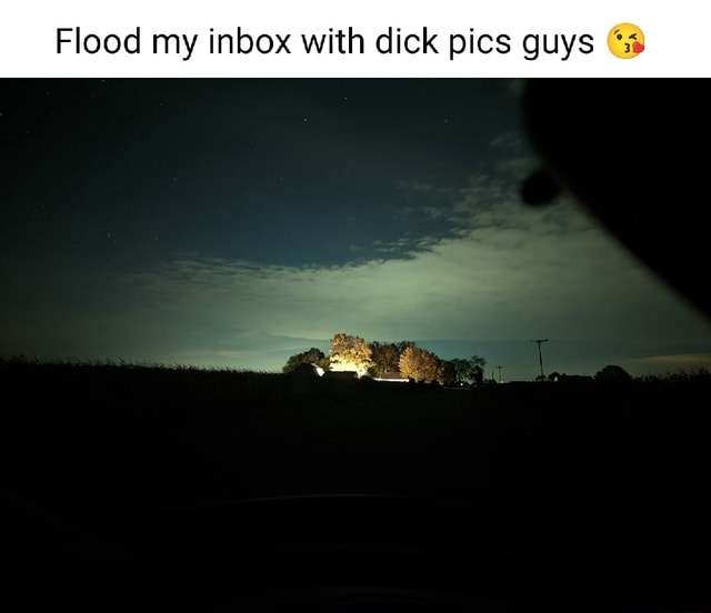 Flood my inbox with dick pics guys - iFunny