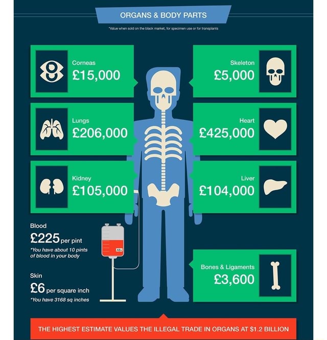 ORGANS & BODY PARTS *Value when sold on the black market, for specimen ...