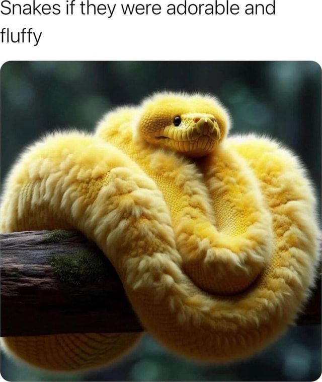 Snakes if they were adorable and fluffy - iFunny
