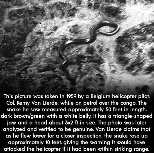This picture was taken in 1959 by a Belgium helicopter pilot, Col. Remy ...