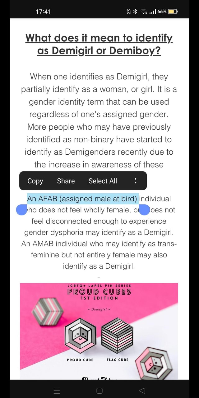 Egg_irl - 66% What does it mean to identify as Demigirl or Demiboy ...