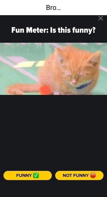 Bro Fun Meter: Is this funny? FUNNY NOT FUNNY - iFunny