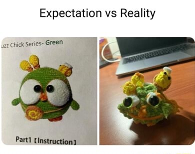 Expectation vs Reality zz Chick Series- Green Partl CInstruction - iFunny