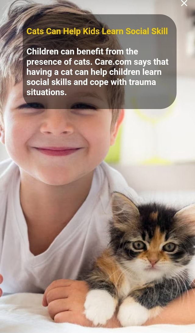 Cats Can Help Kids Learm Social Skill 4 Children can benefit from the ...