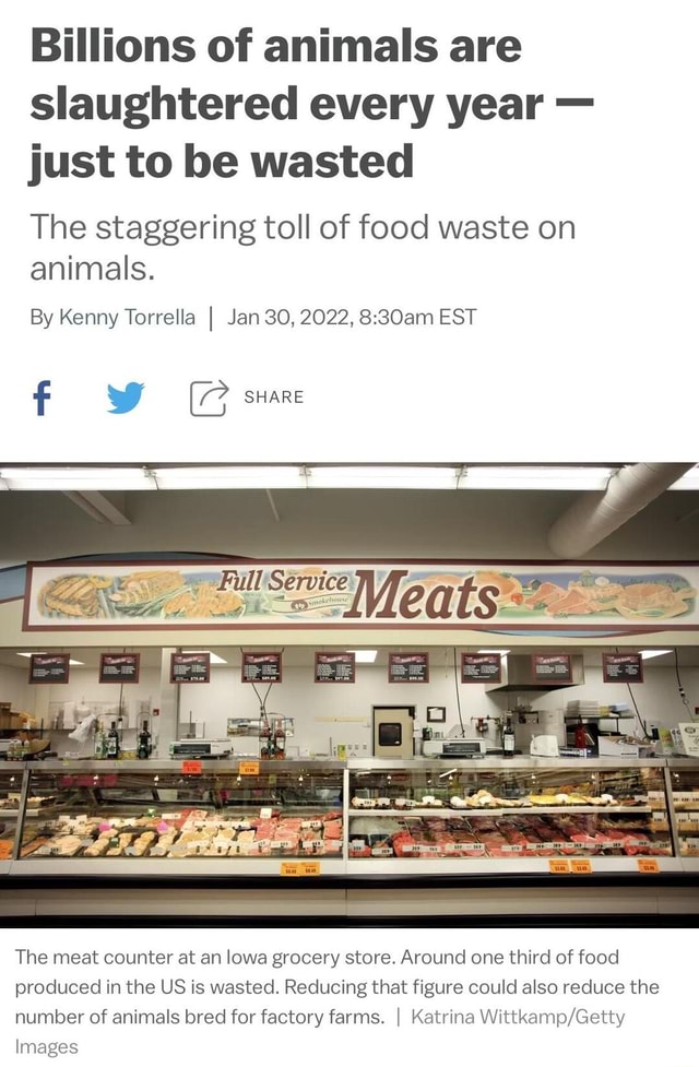 I can must finis cheezborger. - Billions of animals are slaughtered ...