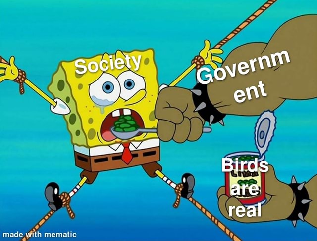 Society ent made with mamatic Birds real - iFunny