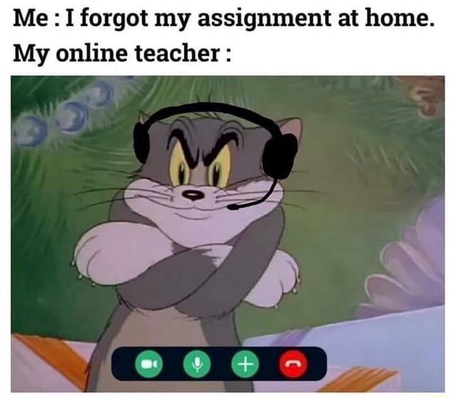 Me :I forgot my assignment at home. My online teacher - iFunny