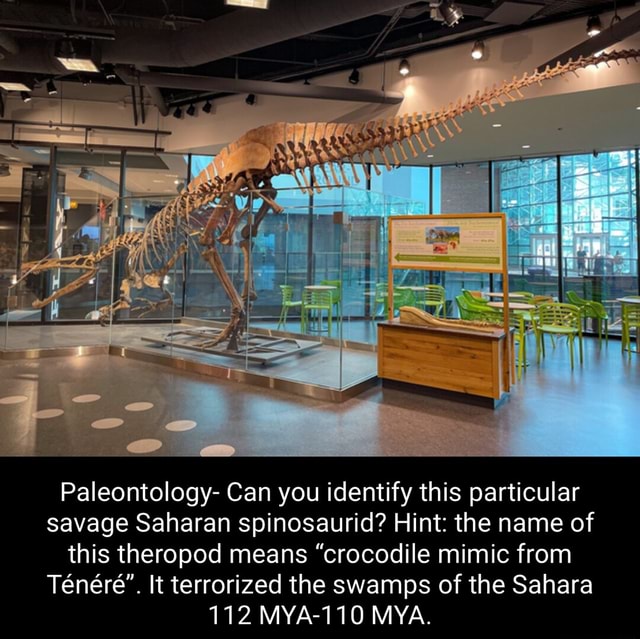Me Paleontology- Can you identify this particular savage Saharan ...
