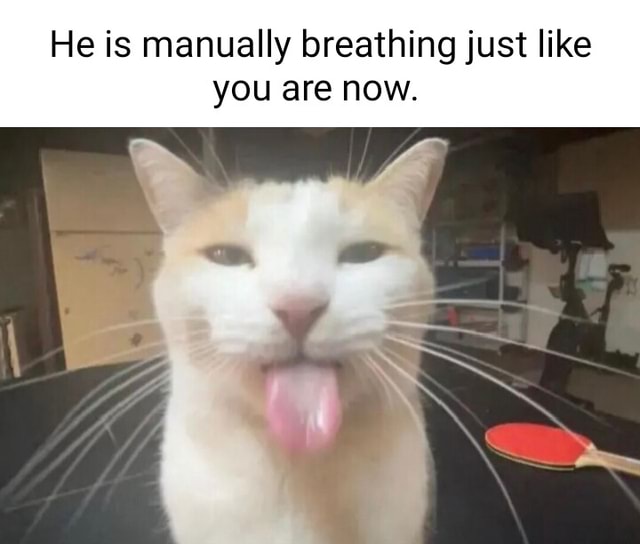 He is manually breathing just like you are now. - iFunny