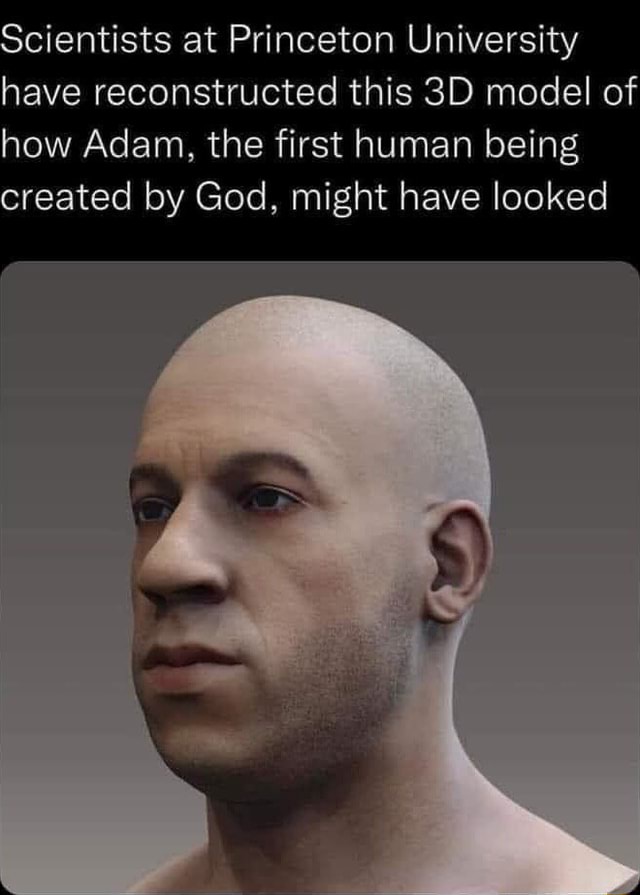 Scientists at Princeton University have reconstructed this model of how ...