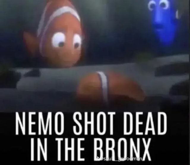 NEMO SHO DEAD IN THE BRONX - iFunny
