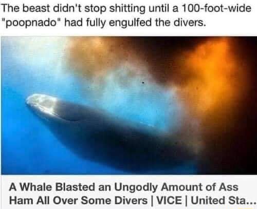 The beast didn't stop shitting until a wide "poopnado" had fully ...