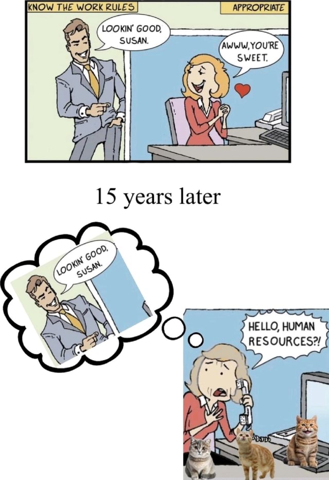 NOW THE WORK RULES HELLO, HUMAN RESOURCES? \ho - iFunny