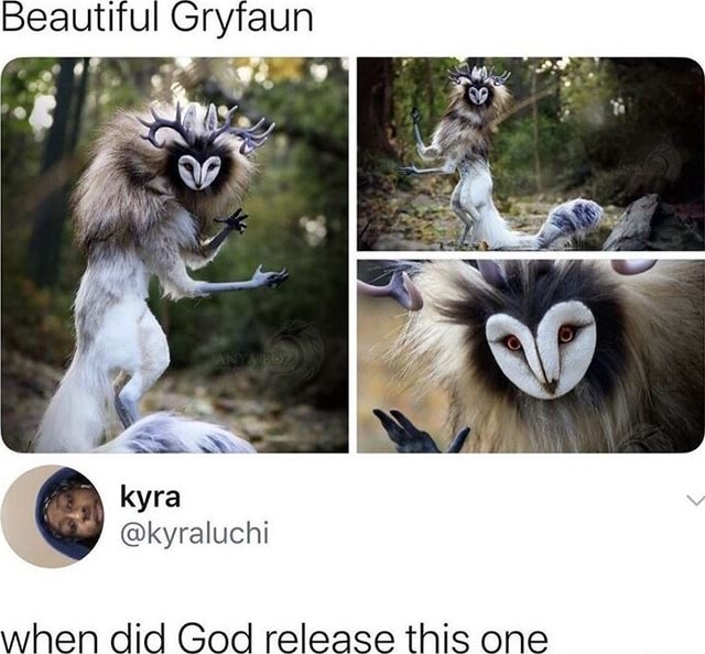 Beautiful Gryfaun when did God release this one - iFunny