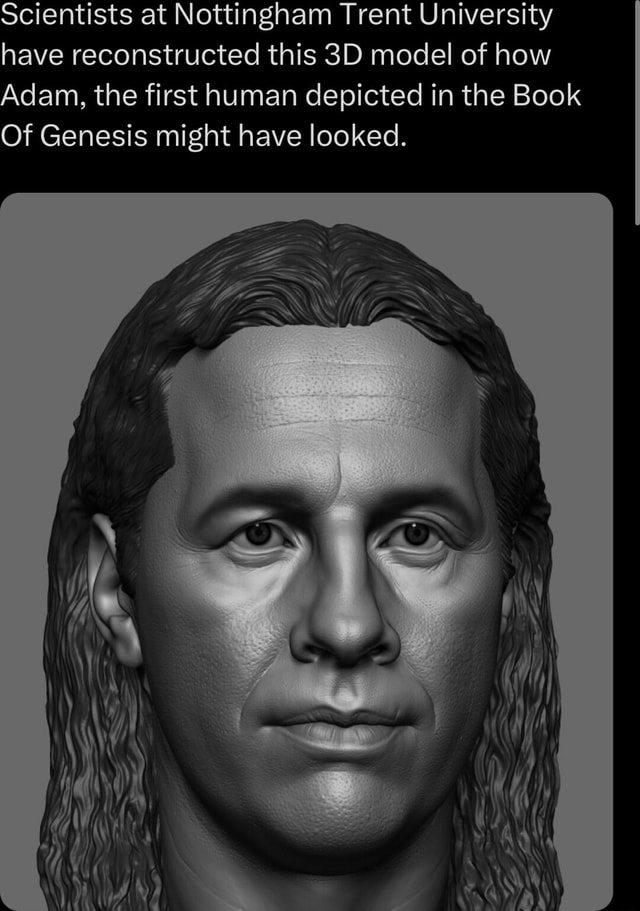 Scientists at Nottingham Trent University have reconstructed this model ...