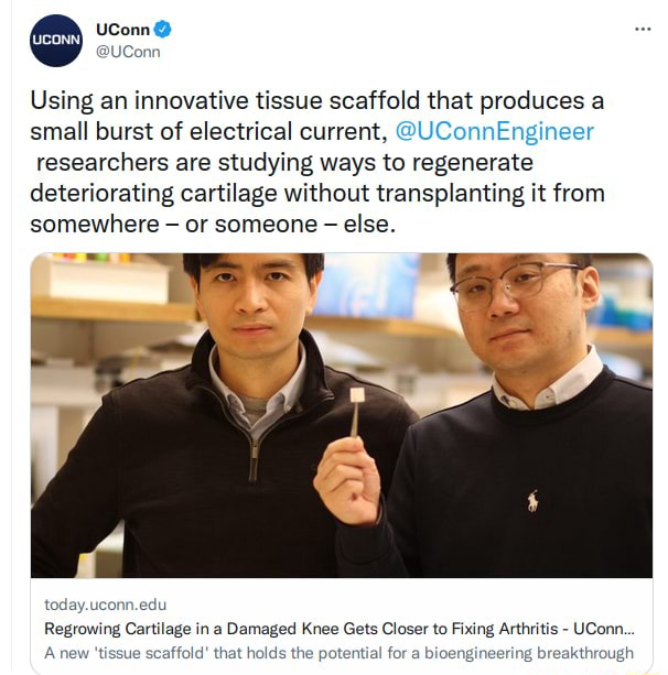 Using an innovative tissue scaffold that produces a small burst of ...