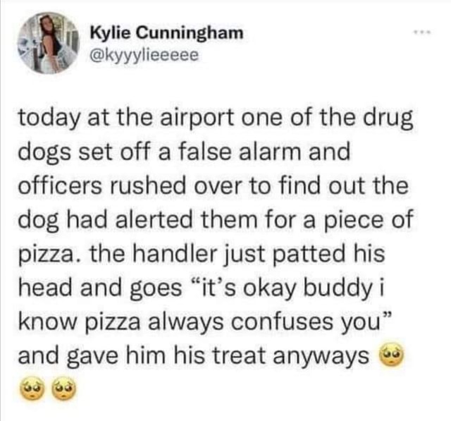 Ij Kylie Cunningham @kyyyliceeee today at the airport one of the drug ...