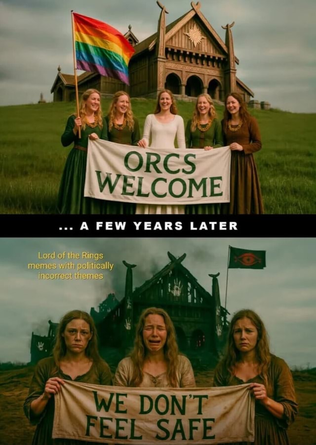 WELCOME FEW YEARS LATER Log of the Rings memes with pol cally correct ...