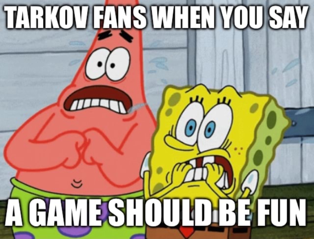 TARKOV FANS WHEN YOU SAY I A GAME SHOULD BE FUN - iFunny