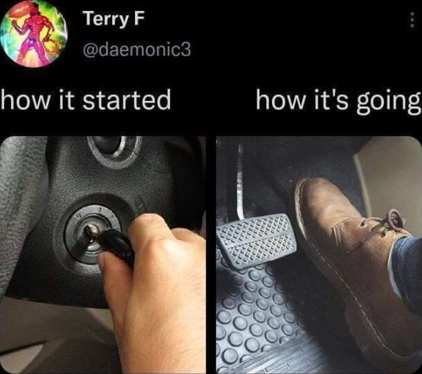 Terry F how it started how it's going - iFunny