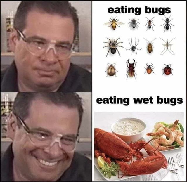 Lobster is the most delicious seafood. change my mind - eating bugs we ...