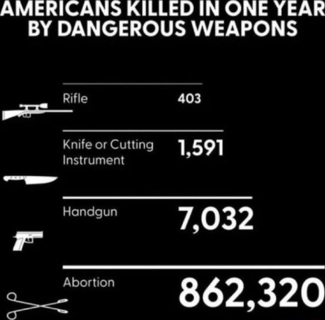 AMERICANS KILLED IN ONE YEAR BY DANGEROUS WEAPONS Rifle 403 Knife or ...