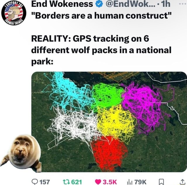 End Wokeness @EndWok...- th "Borders are a human construct" REALITY ...