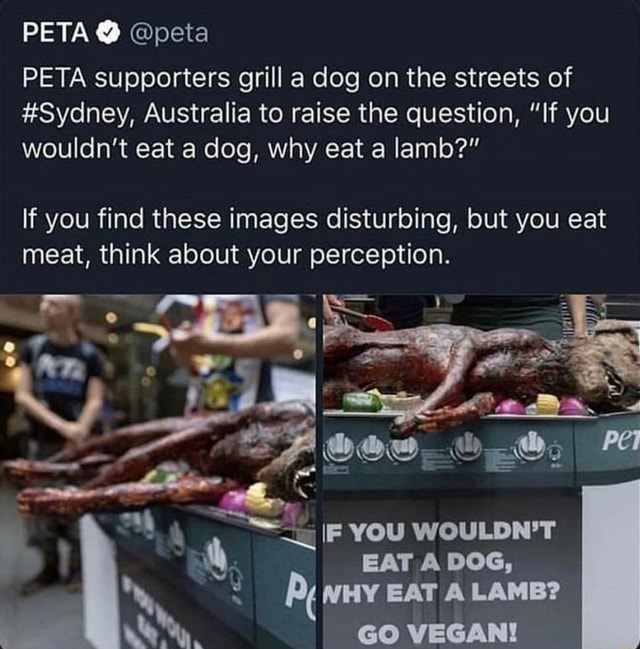 PETA supporters grill a dog on the streets of #Sydney, Australia to ...