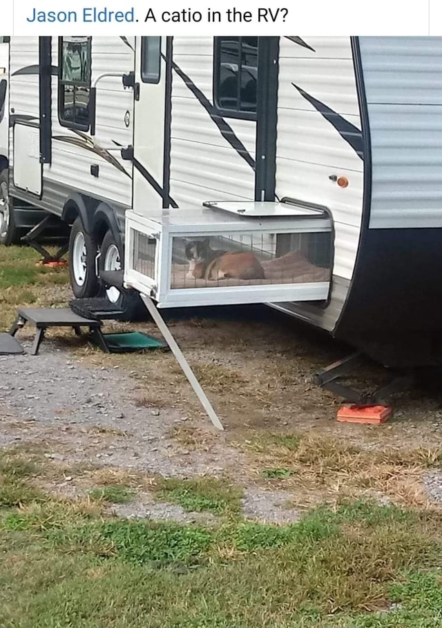 Jason Eldred. A catio in the RV? - iFunny