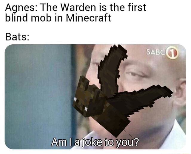 Agnes: The Warden is the first blind mob in Minecraft Bats: ito you ...
