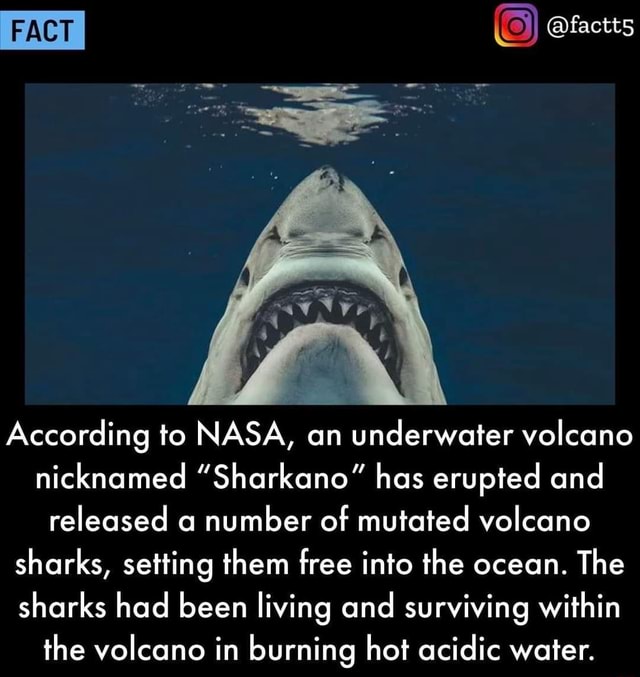 FACT According to NASA, an underwater volcano nicknamed "Sharkano" has ...