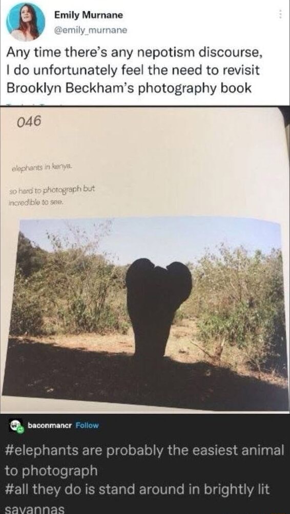 Emily Murnane emily _murnane Any time there's any nepotism discourse, I ...