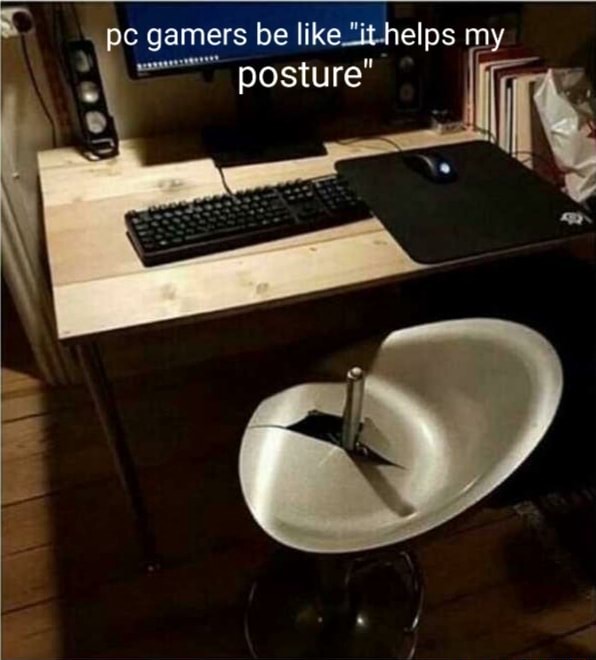Pc gamer be like helps my " \ posture" - iFunny