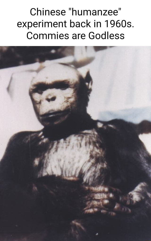 Chinese "humanzee" experiment back in 1960s. Commies are Godless - iFunny