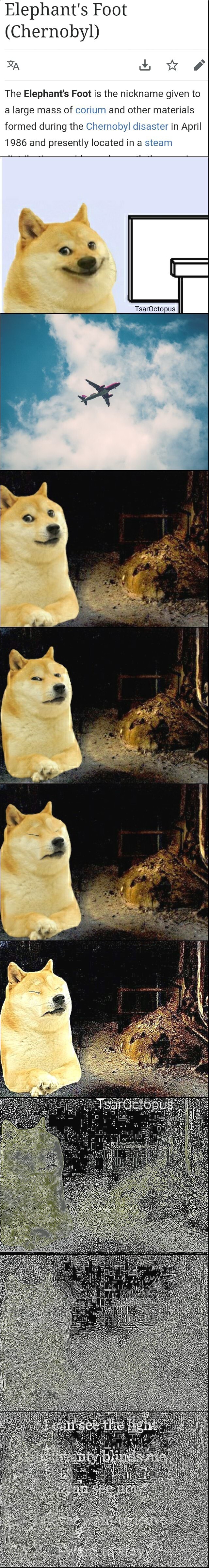 Elephant's Foot (Chernobyl) ww The Elephant's Foot is the nickname ...