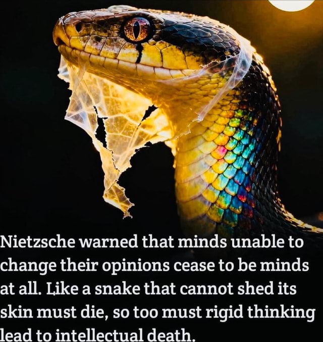 Nietzsche warned that minds unable to change their opinions cease to be ...