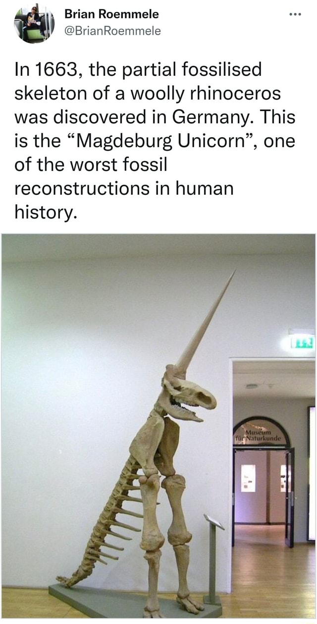 Brian Roemmele @BrianRoemmele In 1663, the partial fossilised skeleton ...