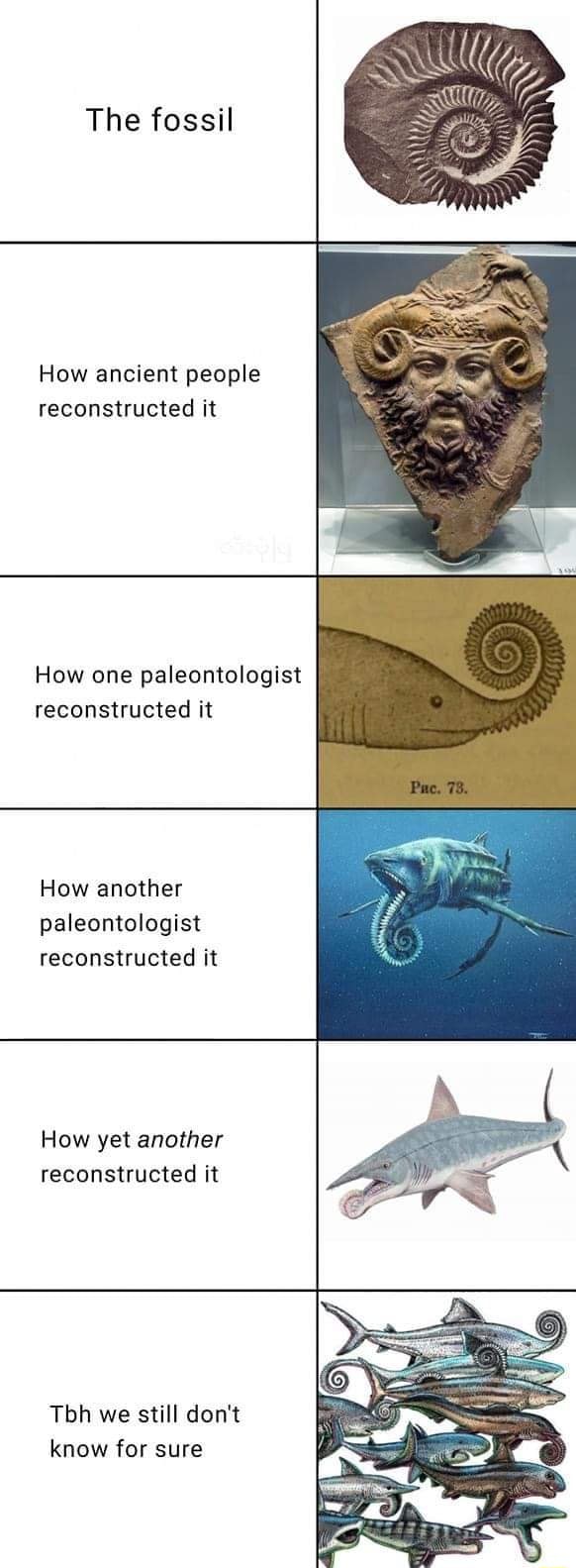 The fossil How ancient people reconstructed it How one paleontologist ...